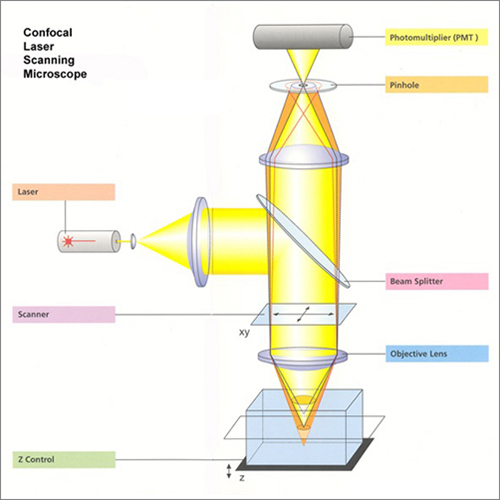 Confocal Laser Scanning Microscope (CLSM) – CET Scientific Services Pte Ltd